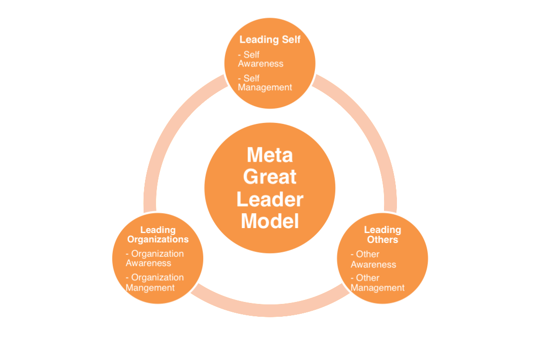 Meta Great Leader Model - Meta Consulting - Making Enterprises Truly ...